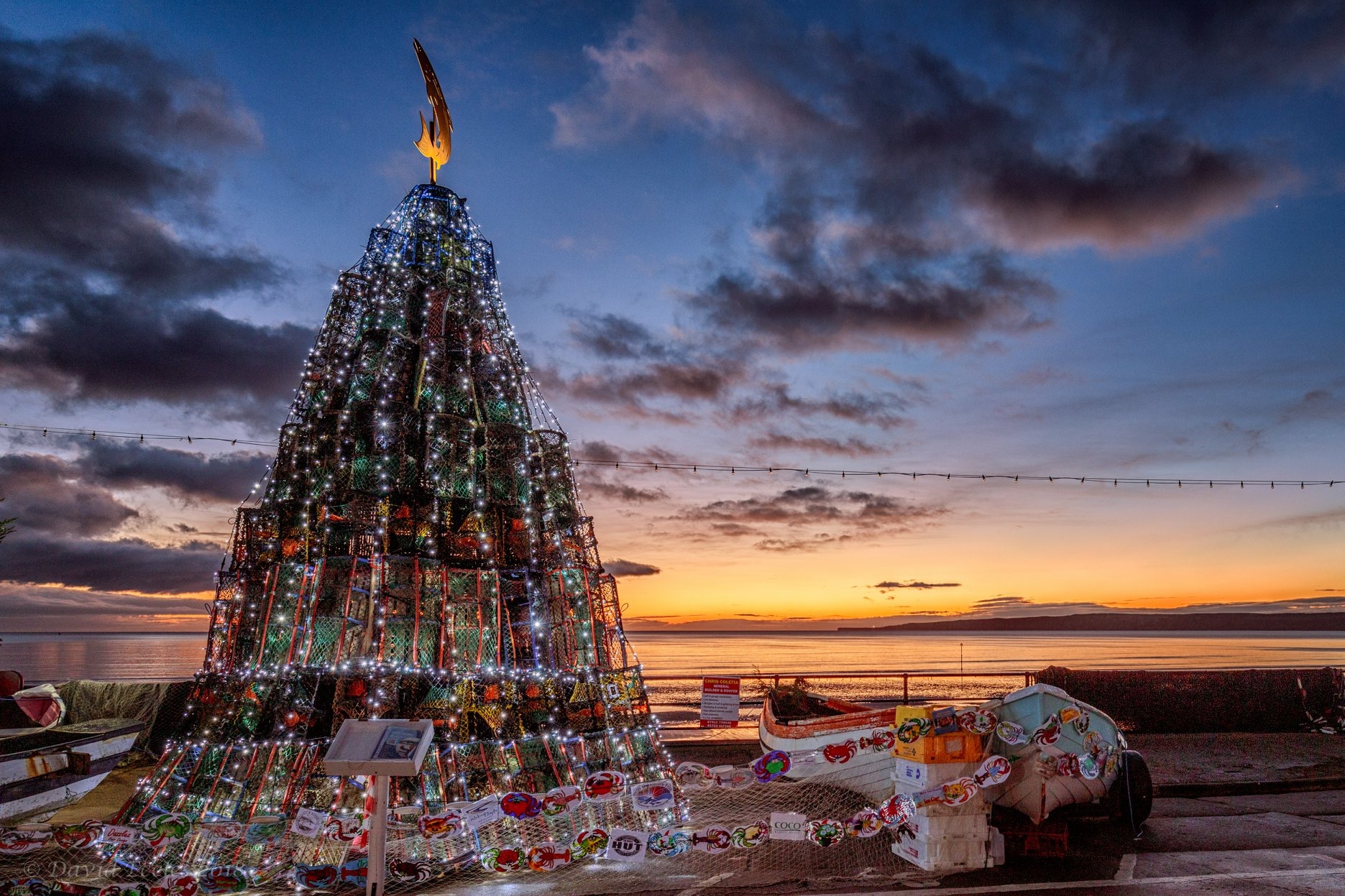 Filey's Fishtive Tree - briggviewfiley.co.uk